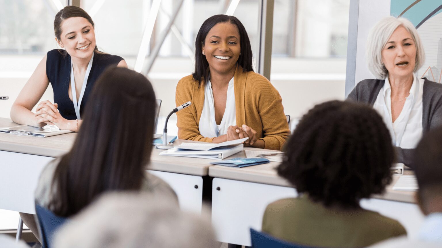 Interim Positions - SRI Executive