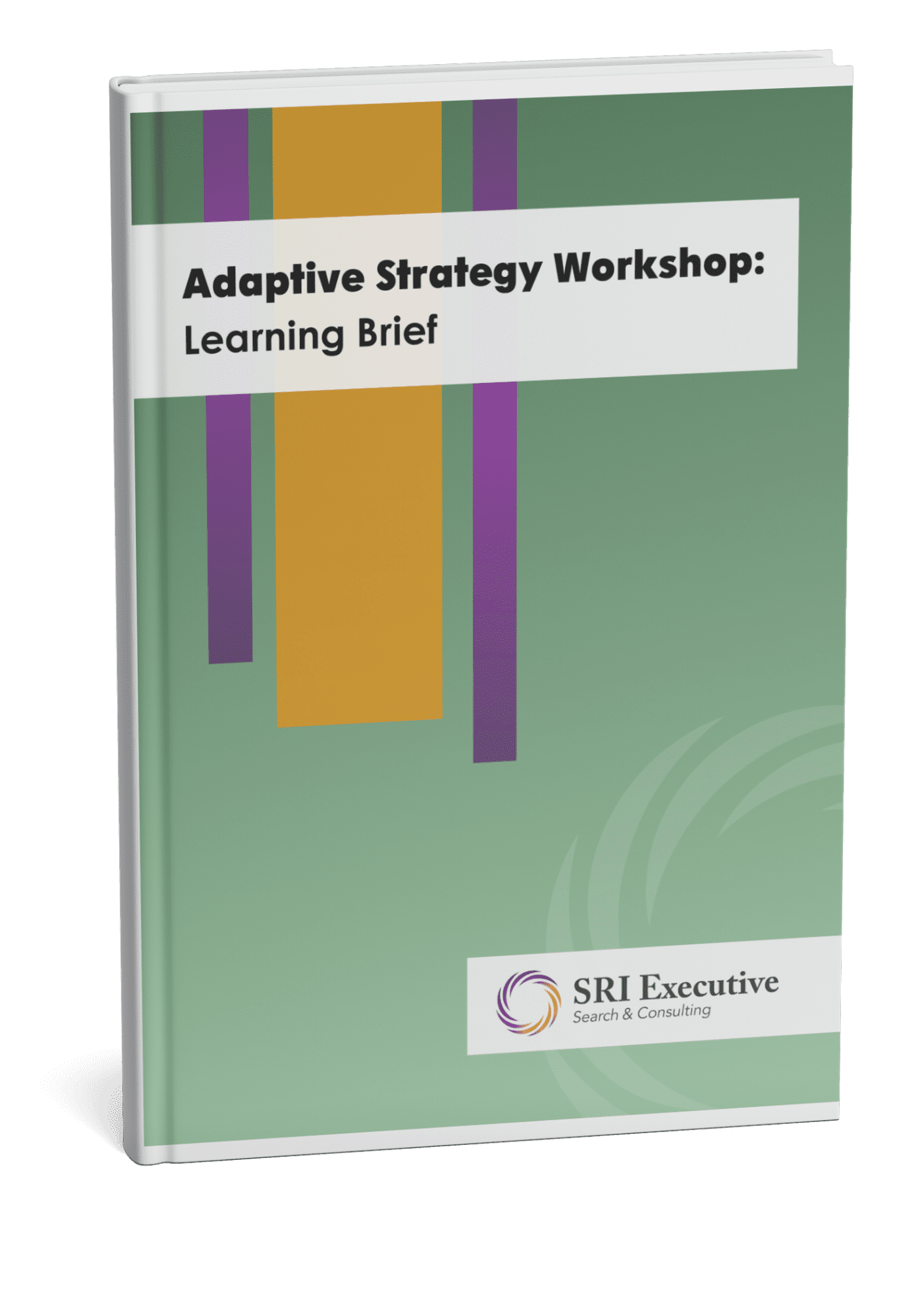 Strategy Development and Evaluation - SRI Executive